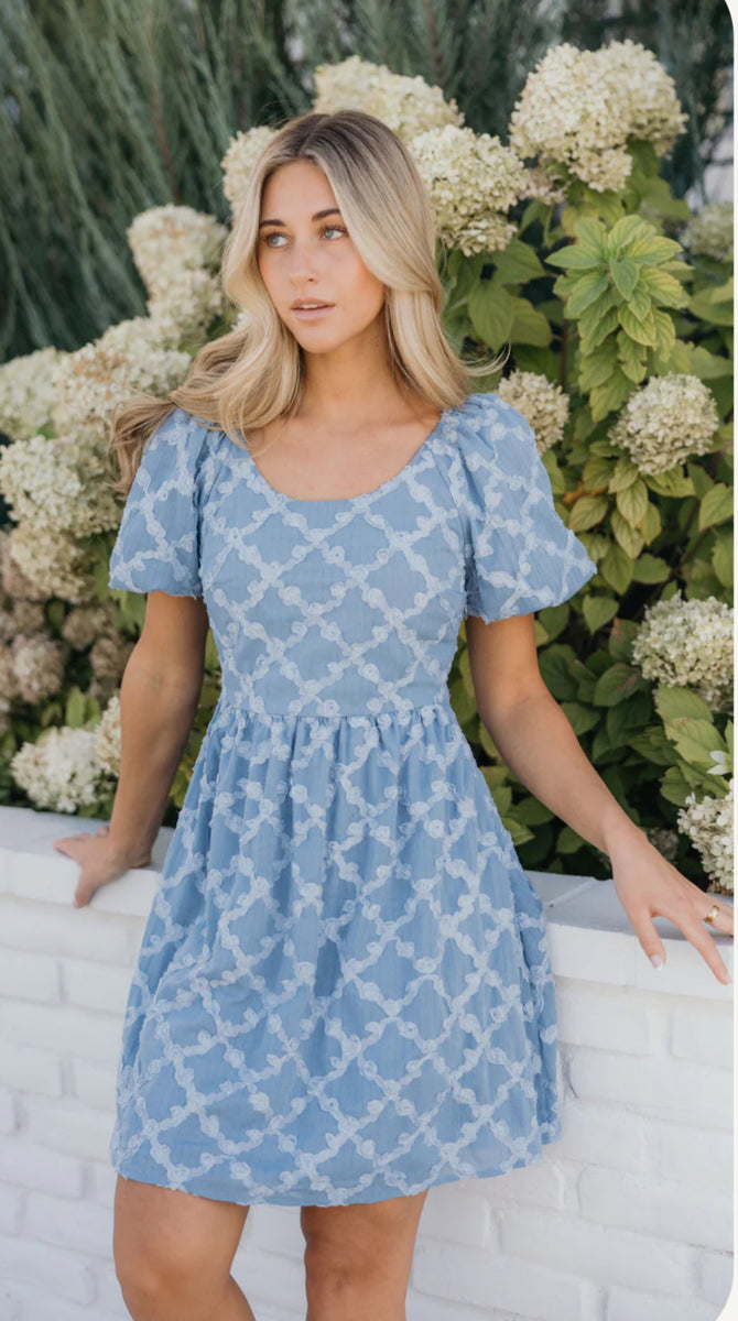 The Selma Dress in Stonewashed Blue – Livvy Mae Boutique